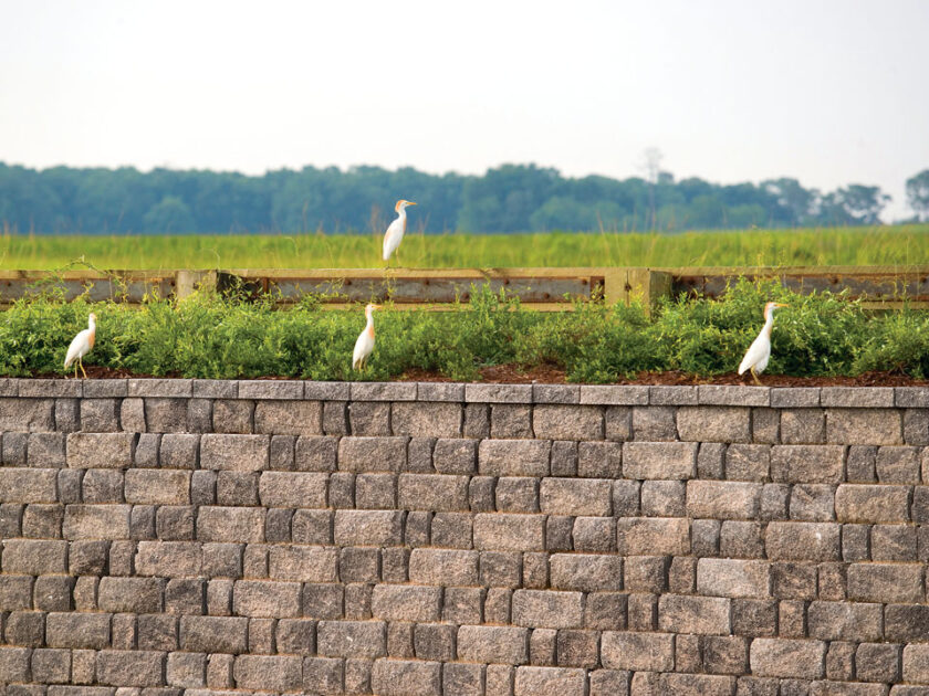 Design Ideas - Building Products Corp